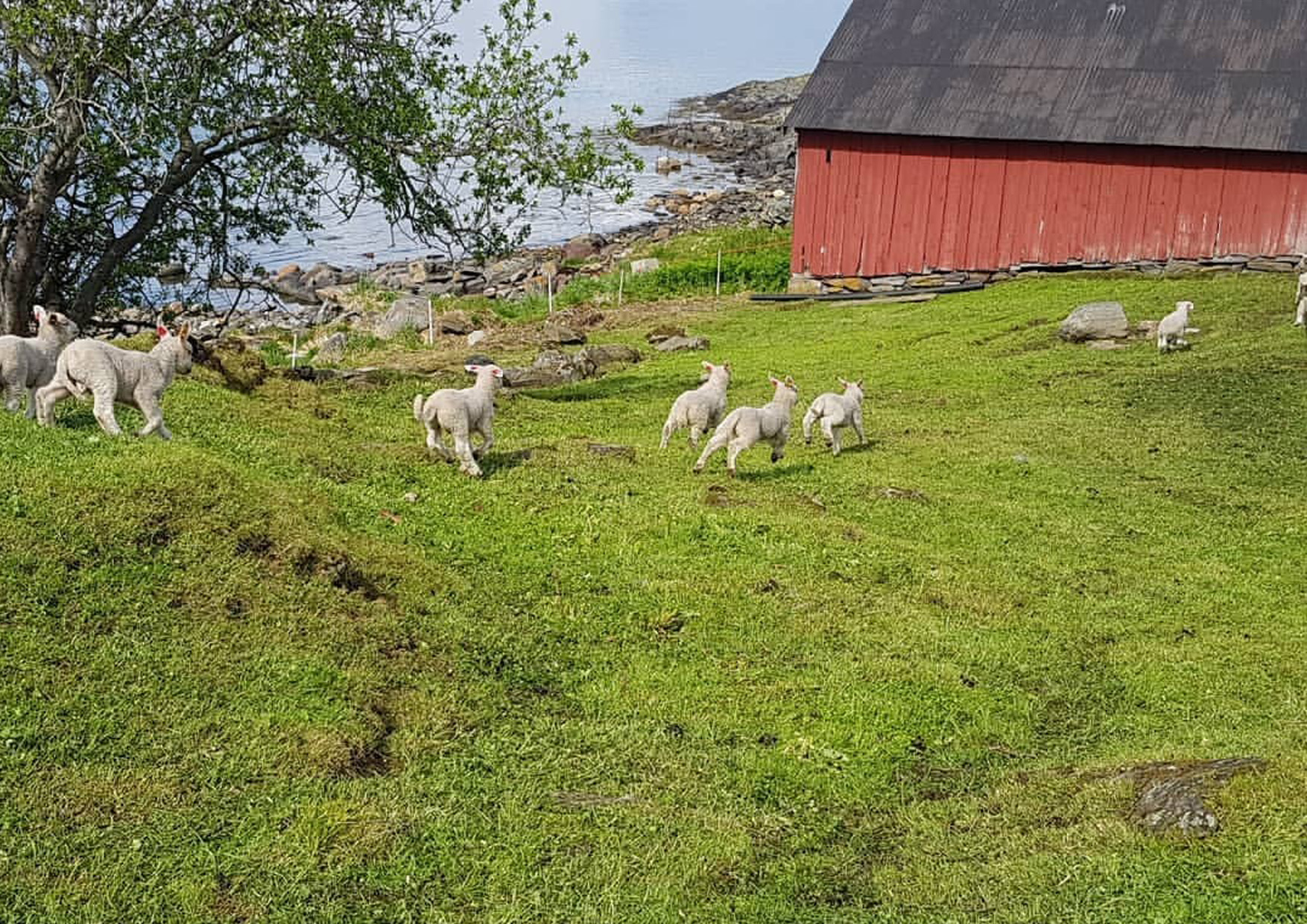 Widding gård - Inn på tunet Norge