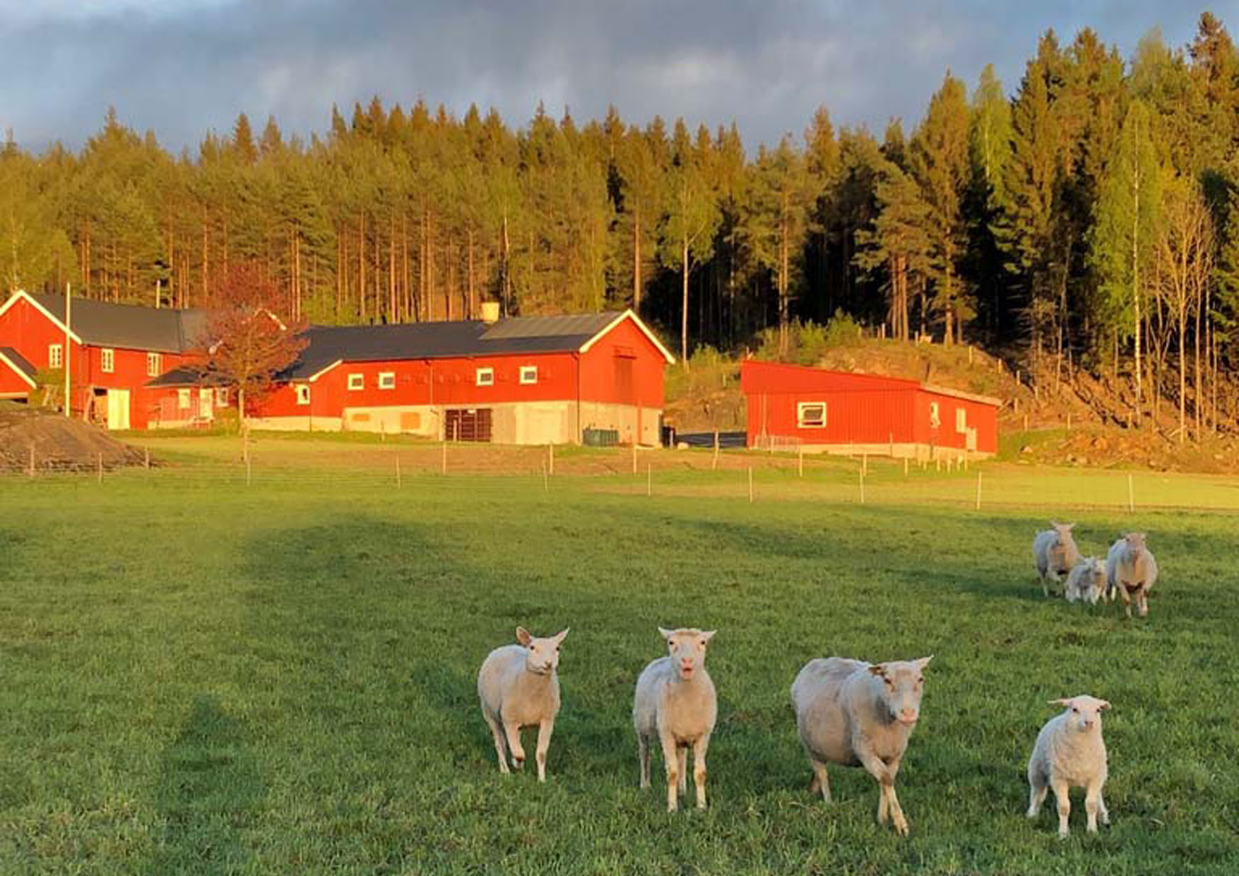 Brømnes gård - Inn på tunet Norge