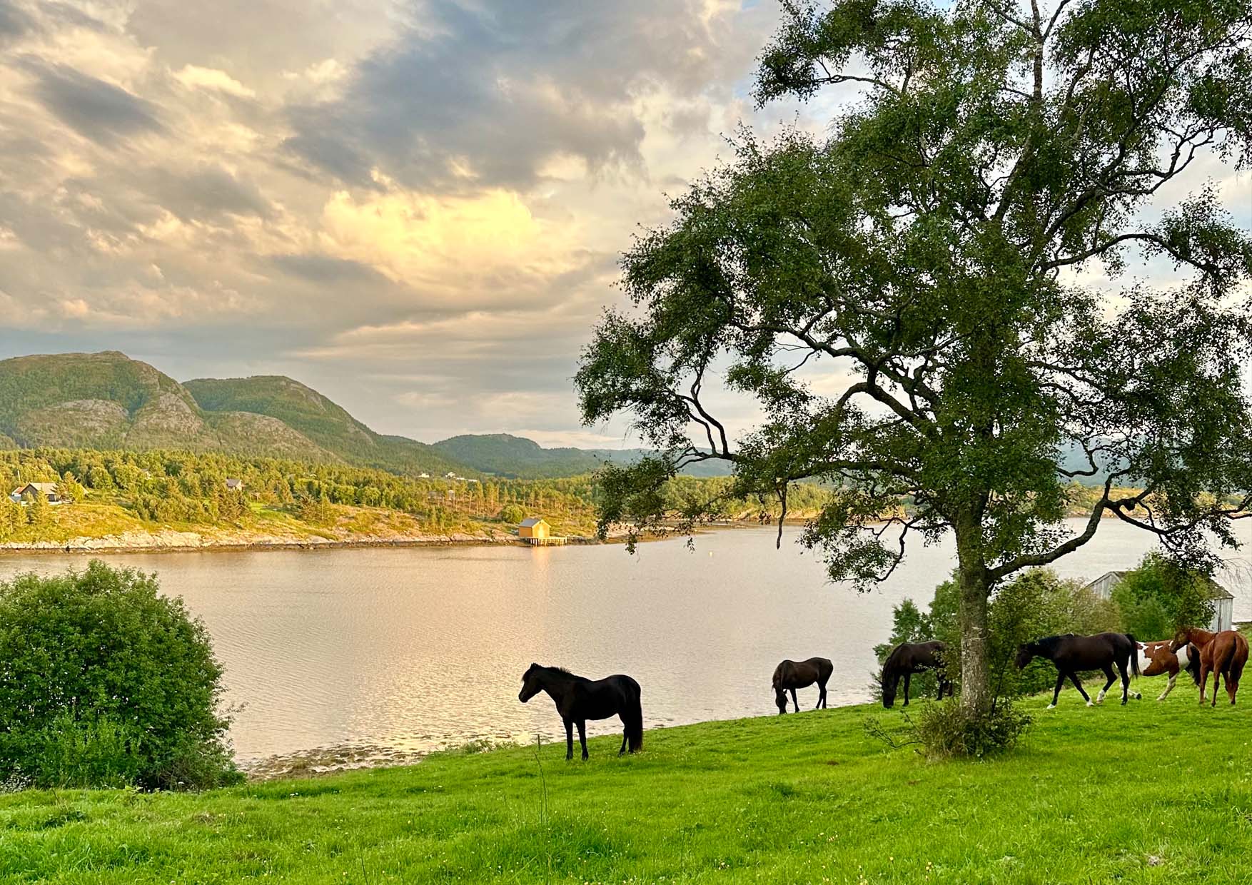 Leikvang Gård - Inn på tunet Norge
